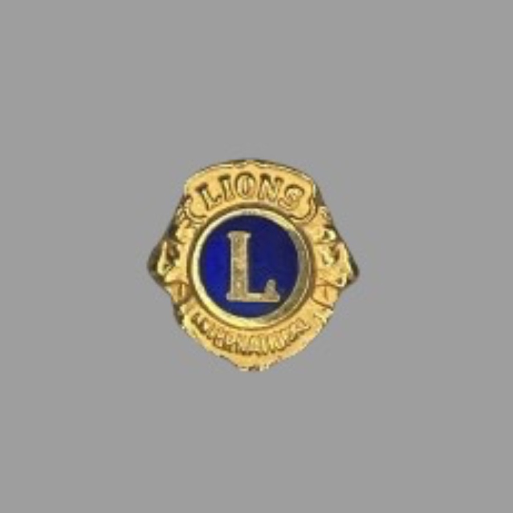 Vintage Lions International Logo Lapel Pin Lions Club… - Gem